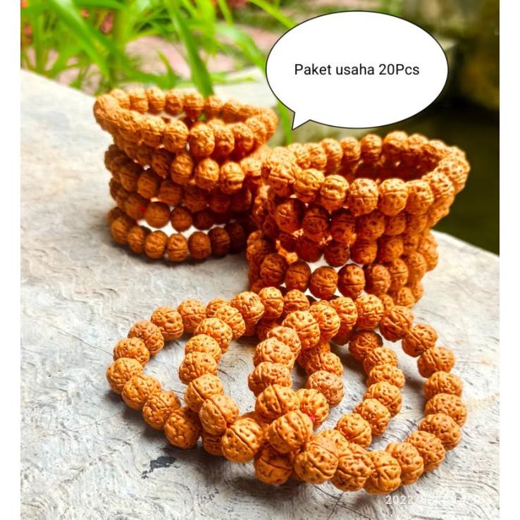 Original jenitri seed bracelet 1 code 20 pcs | Shopee Malaysia