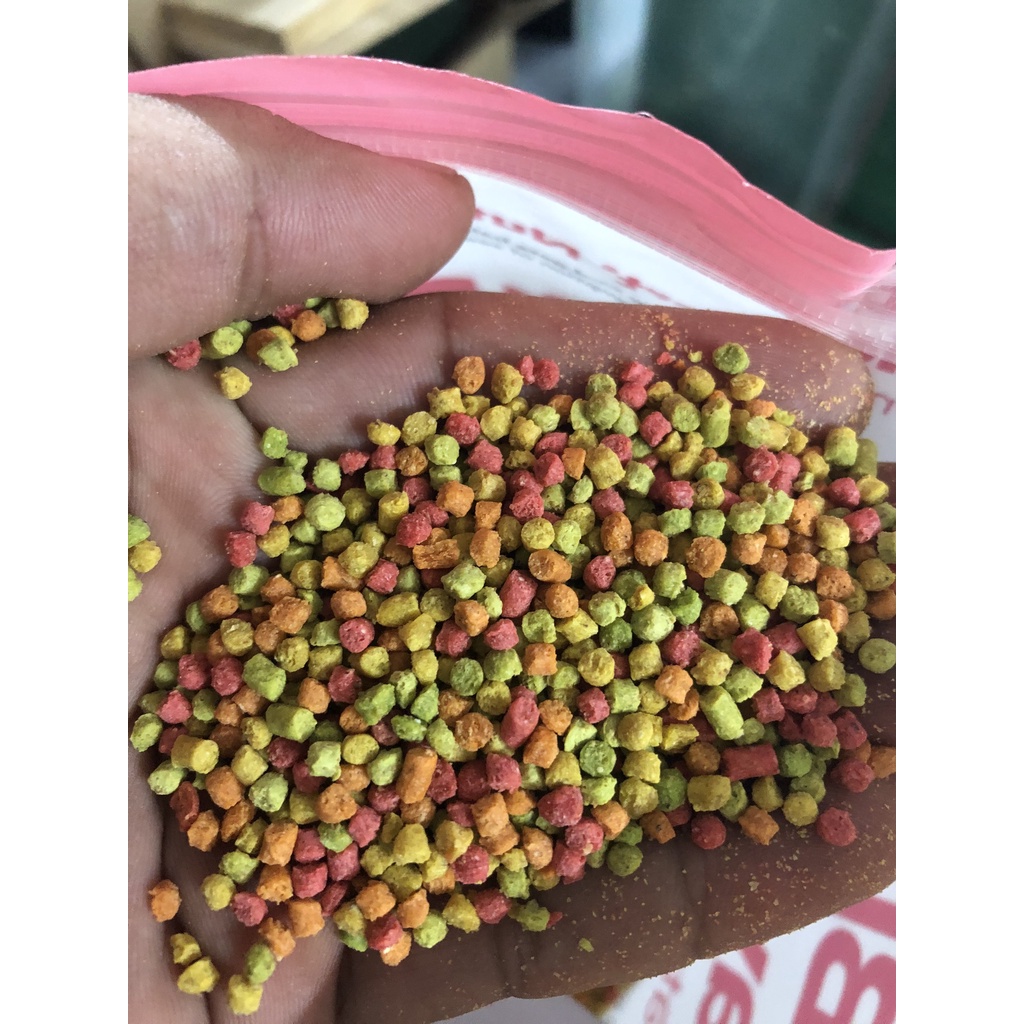 Fruit seeds for crested bulbuls, 100g package (single package) | Shopee ...