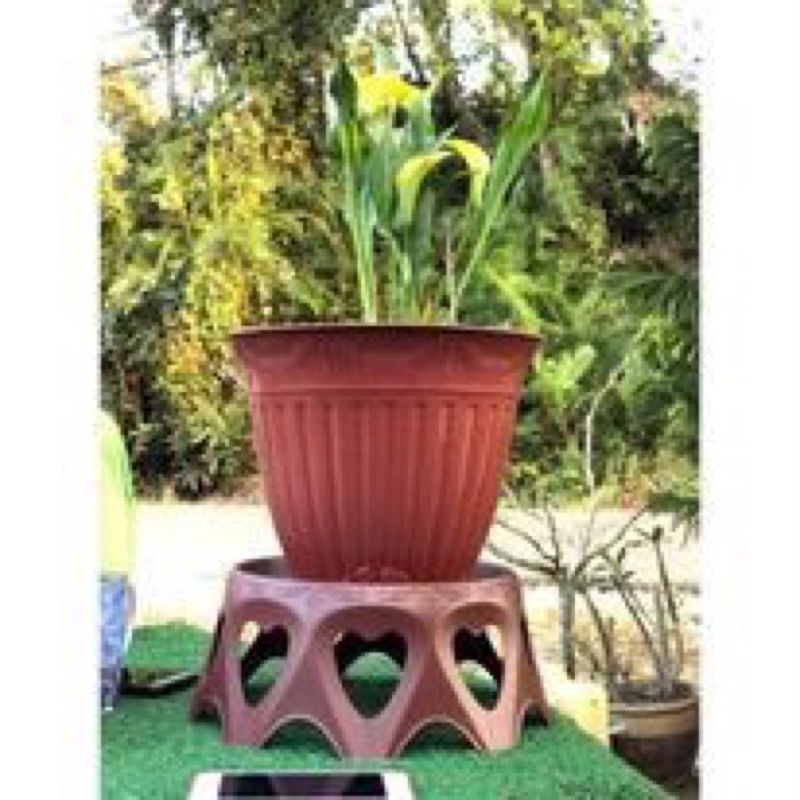 PASU BUNGA PUTIH BERKUALITI TEBAL TAHAN LASAK | Shopee Malaysia