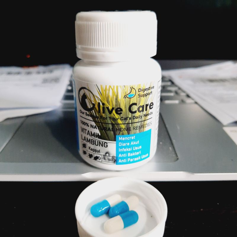 OLIVE CARE GASTRIC DIARRHEA CREET ACCOUNT (ECER 1capsule) | Shopee Malaysia