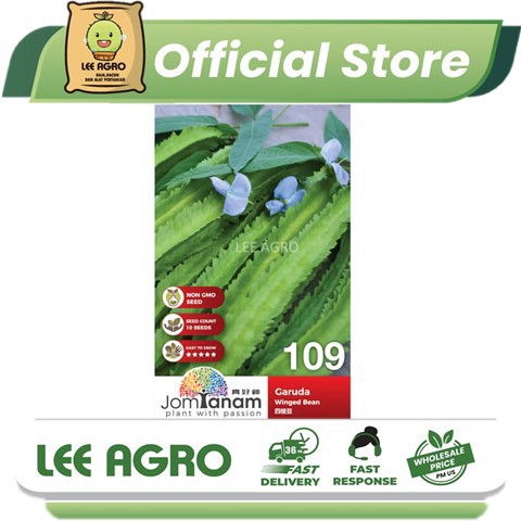 JT109 KACANG KELISA BIJI BENIH SAYUR BUAH (10 SEEDS）/GARUDA WINGED BEAN ...
