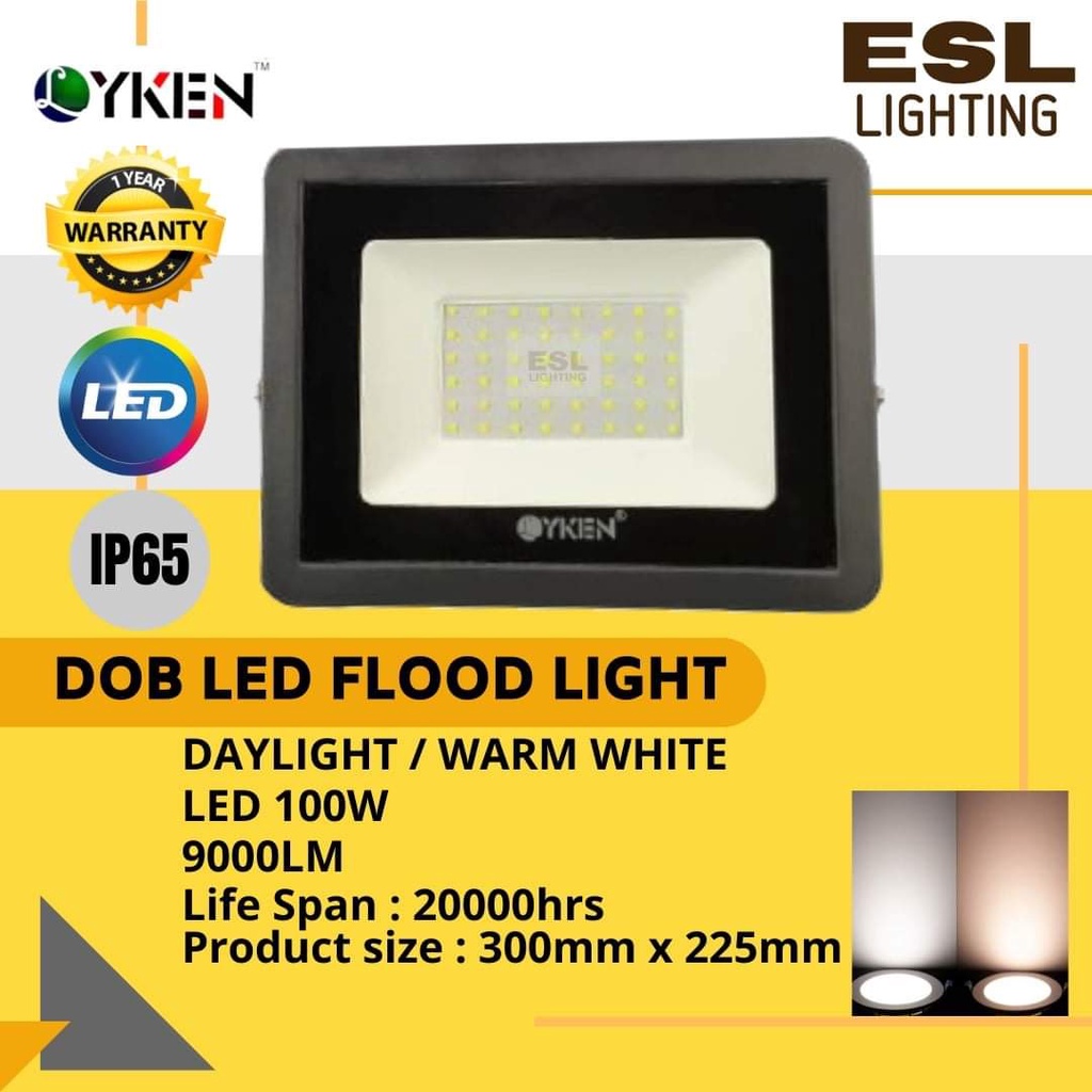 ESL LIGHTING LYKEN Super Bright LED 100W Flood Light High Power ...