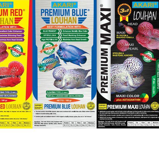 Akari Premium Blue yellow Red Maxi LOUHAN PRO CHANNA predator lohan ...