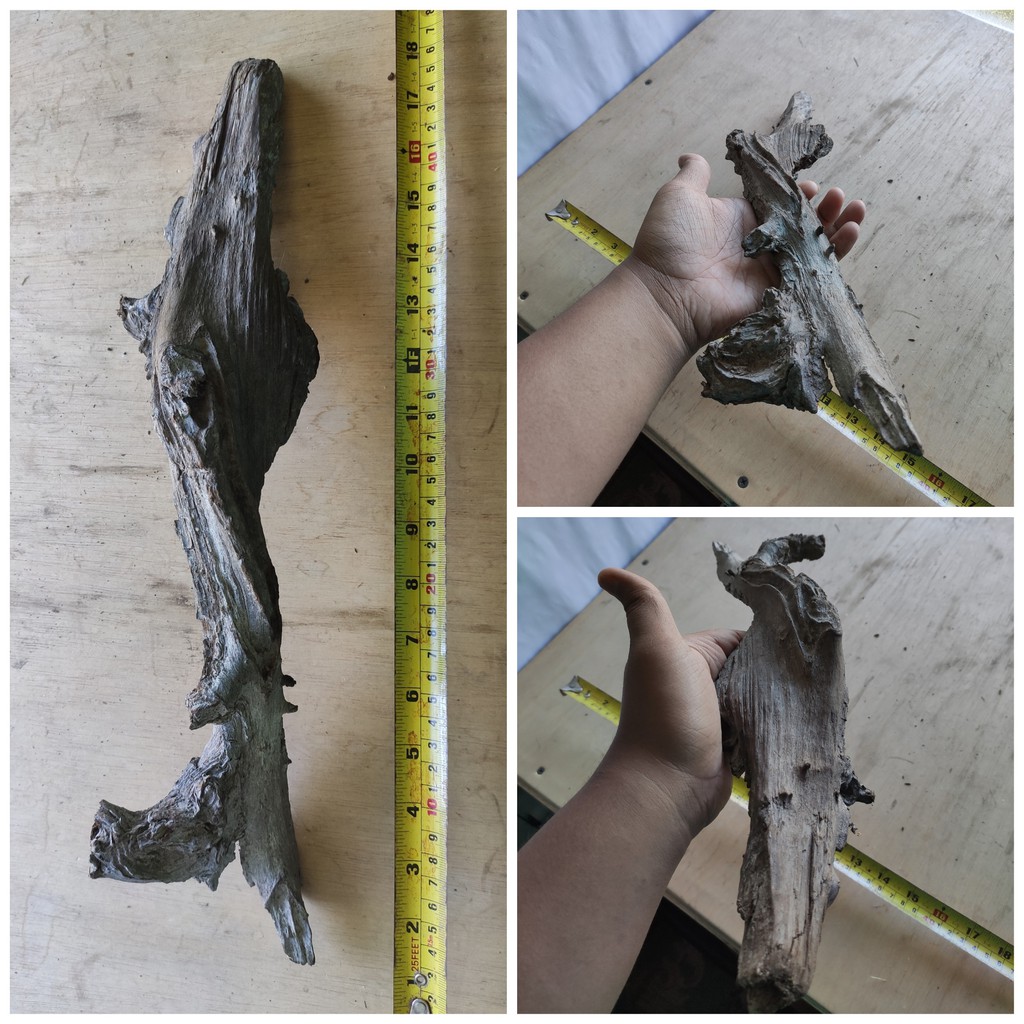 Driftwood aquarium (kayu hanyut/kayu hiasan/kayu akuarium) | Shopee ...