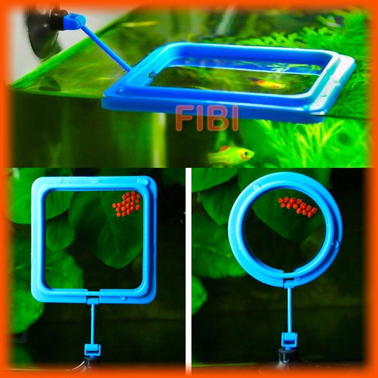Aquarium Fish Feeding Ring Floating Ring Fish Tank Station Floating ...