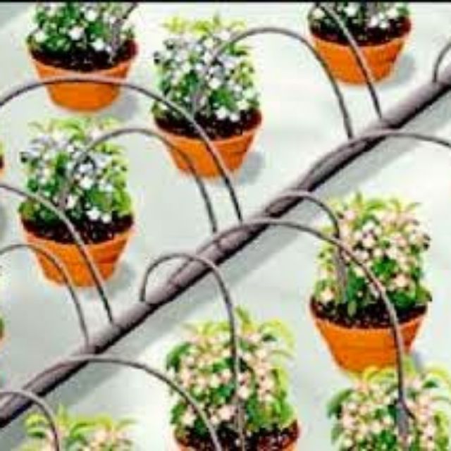 Capinet drip irrigation for Netafim potted flowers (10 sets) | Shopee ...