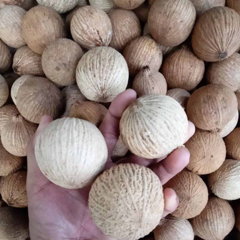 BUAH KULIM MURAH 1KG (BUAH BARU) | Shopee Malaysia