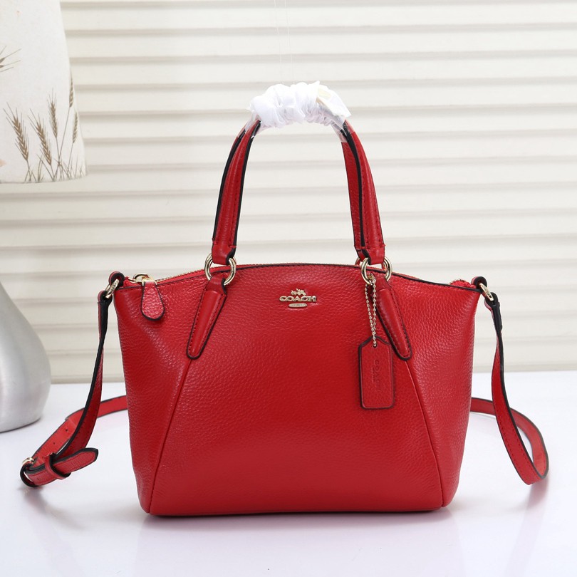 Coach handbag women fashion one shoulder messenger dumpling bag full ...