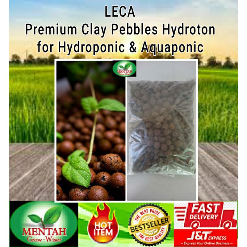 LECA Premium Clay Pebbles Hydroton for Hydroponic & Aquaponic - REPACK ...