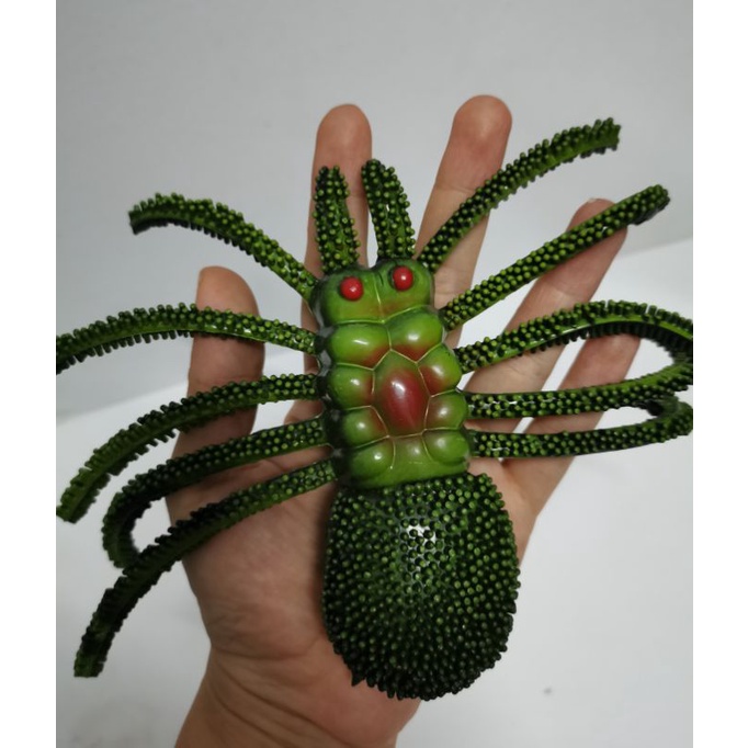 big tarantula spider, labah-labah besar | Shopee Malaysia
