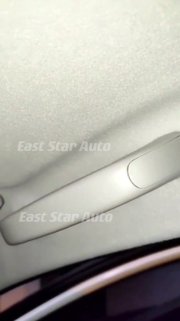 Original Perodua Axia Grip Assist Axia Roof Handle Axia Pemegang Pintu ...