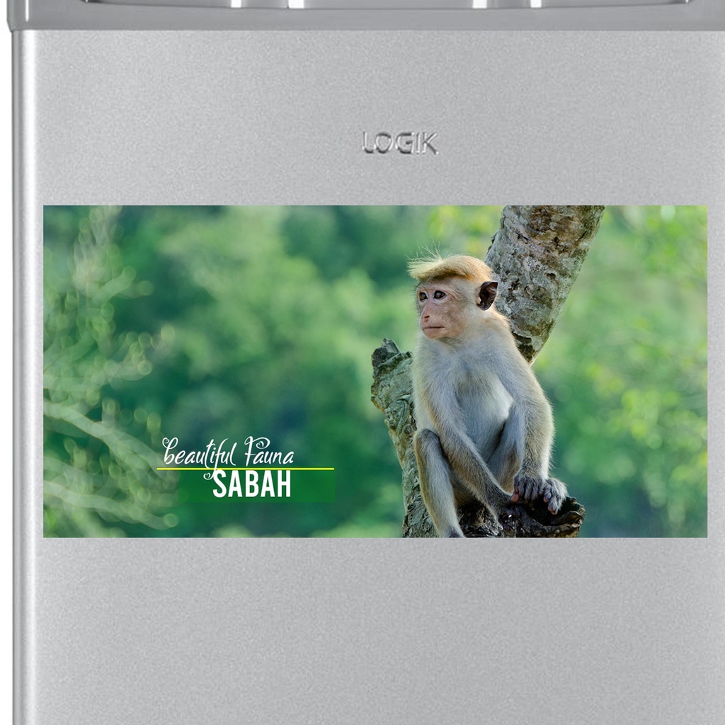 Mount Kinabalu Sabah Semporna Malaysia Gift Souvenir Fridge Magnet ...