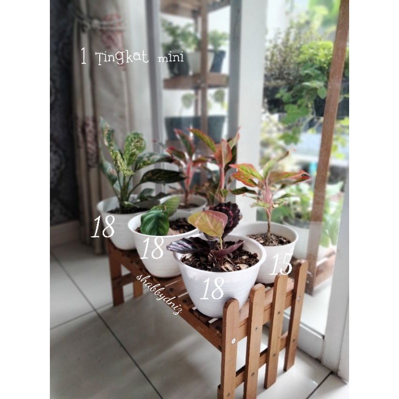 KAYU 1-story mini Ironwood Stair Rack | Shopee Malaysia