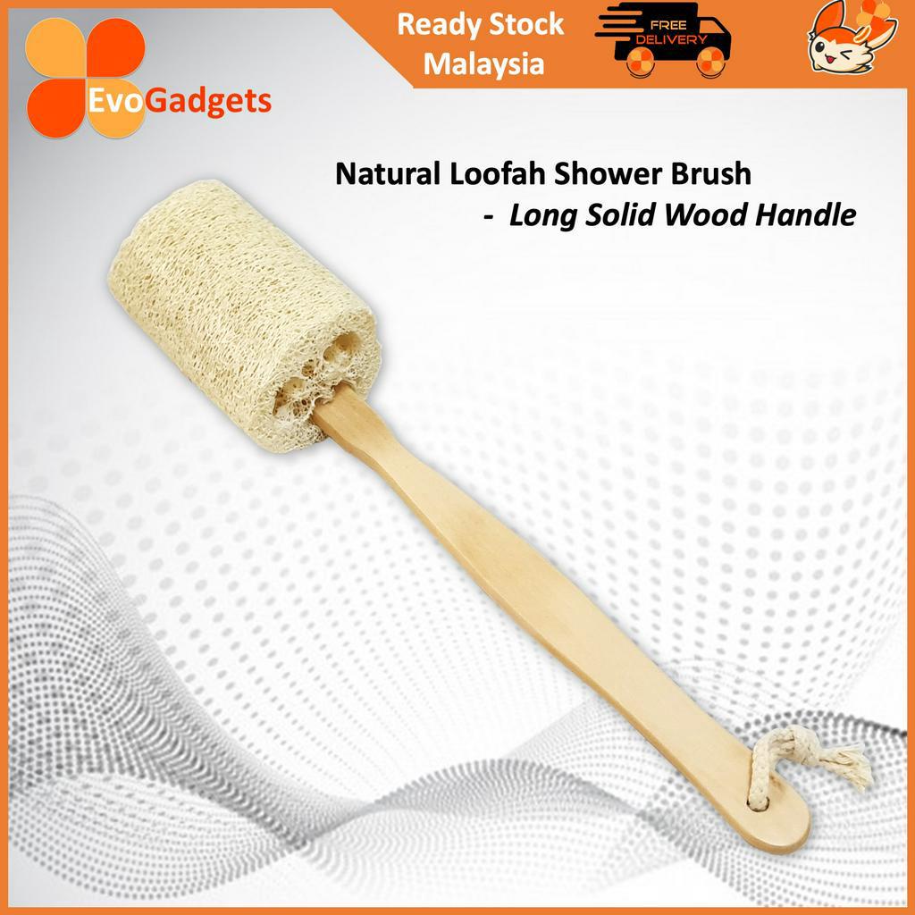 EvoGadgets Exfoliating Loofah / Luffa Shower Brush / Body Scrub / Scrub ...