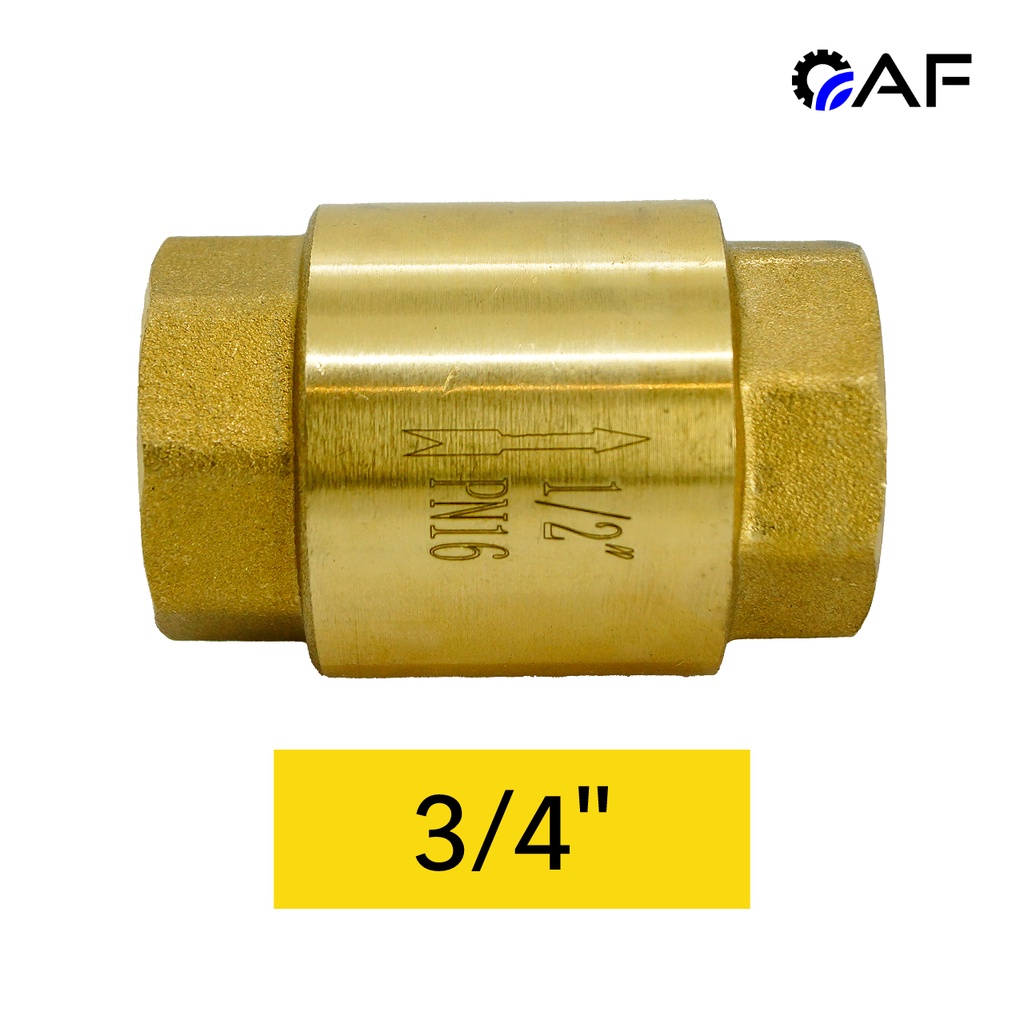 Brass Spring Check Valve 1/4” to 1” BSP Heavy Duty One Way Non Return ...