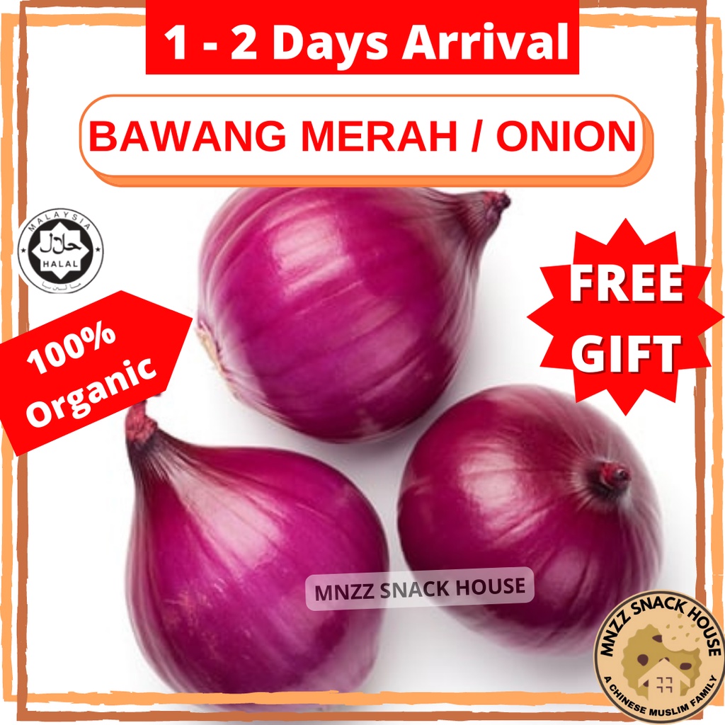 [FAST POST] 100% Organic Bawang Merah India Fresh Red Onion Vegetables ...