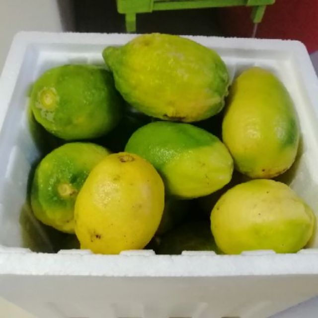 Lemon Kampung Organik 1 Biji | Shopee Malaysia