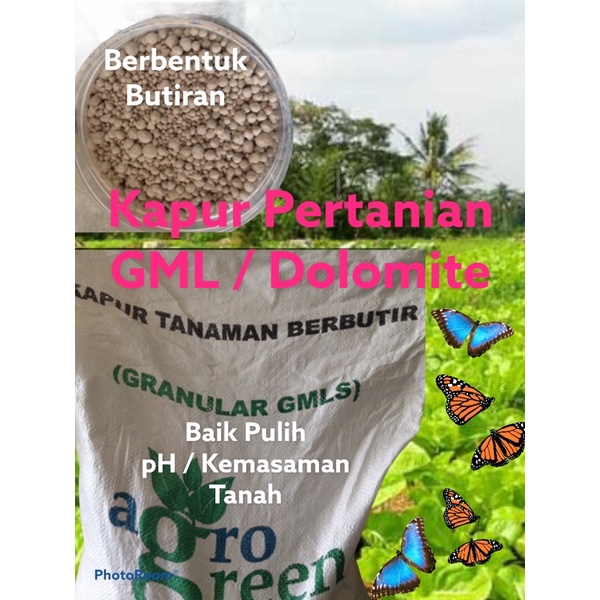 🌱🌱🔥5kg 💥KAPUR PERTANIAN / DOLOMET 🌱🌱🌱🌱🔥 | Shopee Malaysia