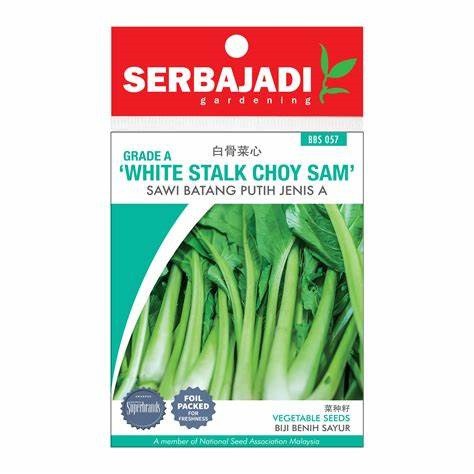 SERBAJADI SEEDS GRADE A WHITE STALK CHOY SAM - SAWI BATANG PUTIH JENIS ...