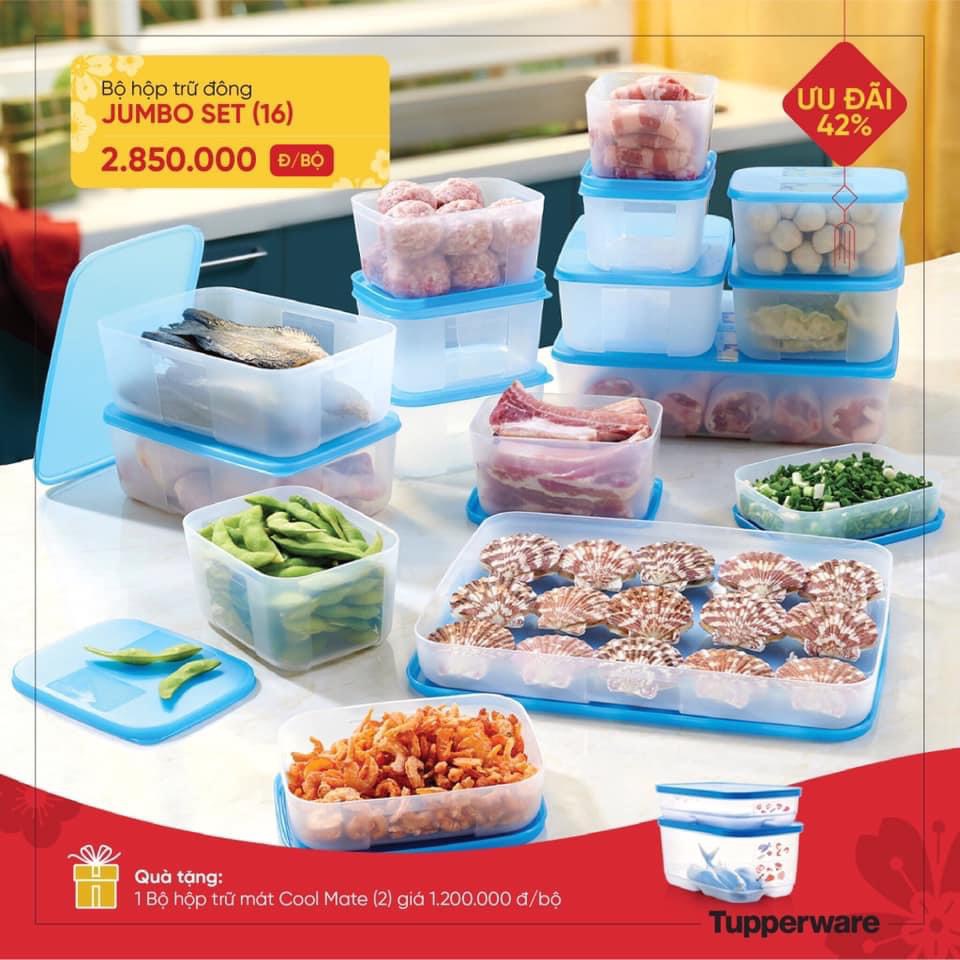 Tupperware - Tupperware freezer set of 16 Freezermate Jumbo boxes of ...
