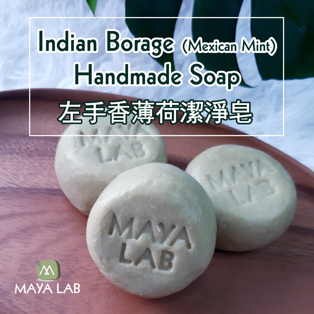 MAYA LAB | Indian Borage (Mexican Mint) Handmade Soap | 薄荷左手香潔淨皂 ...