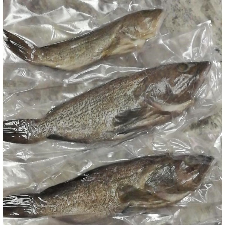 The Legend Mui Hiong Salted fish (Homemade) Ikan Kerapu 不腐传奇の石斑梅香咸鱼 ...