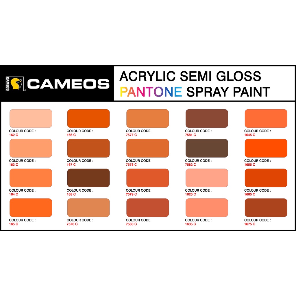 PANTONE Color P8 - Aerosol Spray Paint - CAMEOS 400ML/Bottle | Shopee ...