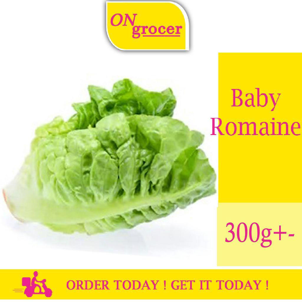 Baby Romaine / A0121 - 300g+- | Shopee Malaysia