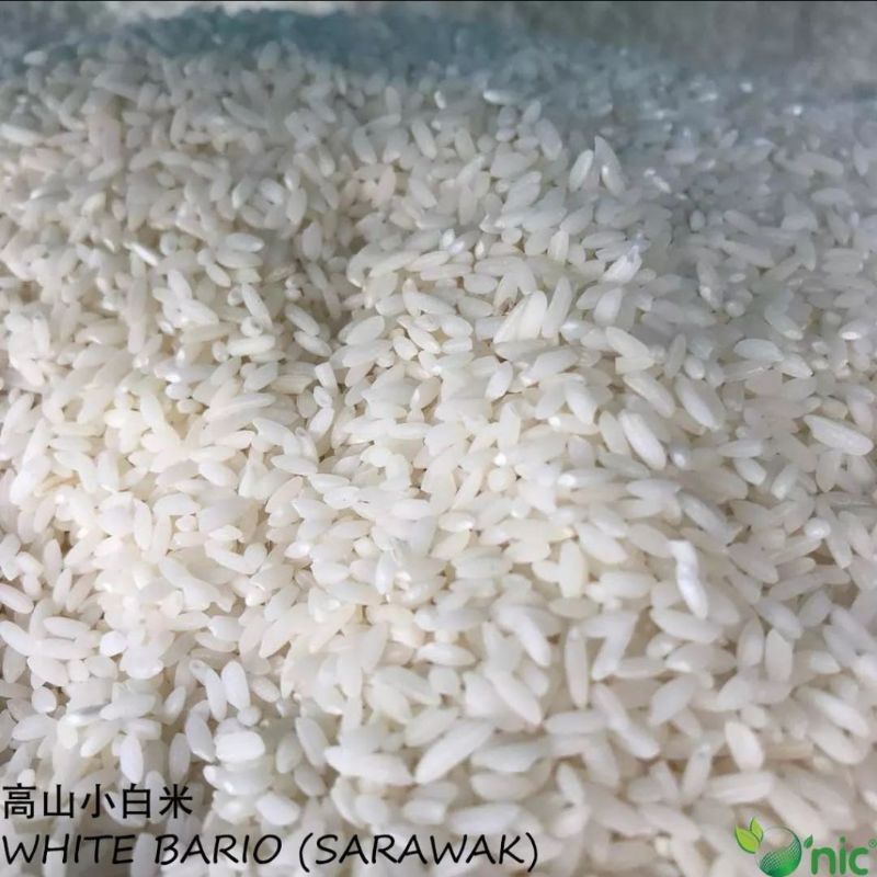 Sarawak White Bario Rice 砂拉越高山小白米 5KG | Shopee Malaysia