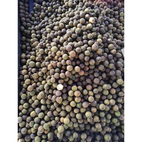 Sarawak Local Buah Isau Mata Kucing Seasonal fruit | Shopee Malaysia