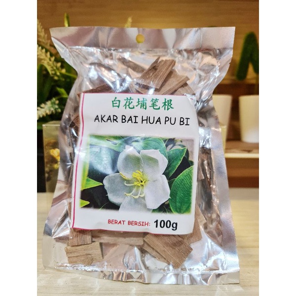 Akar Bai Hua Pu Bi 白花埔笔根 (100g) RM22.50 Exp Date: 26/09/2026 | Shopee ...