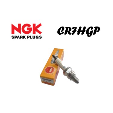NGK SPARK PLUG CR7HGP EX5 WAVE100 KRISS EGO S NOUVO S SRL110 SRL115 (G ...
