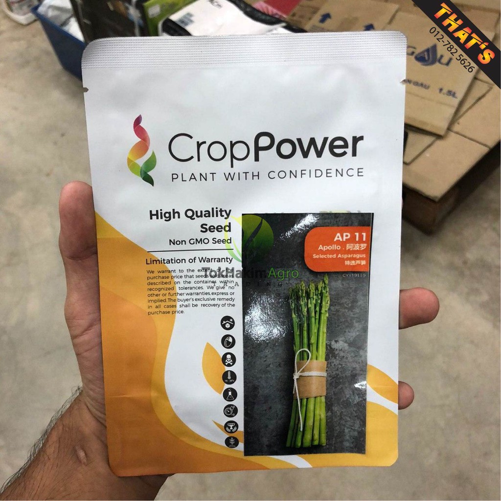 Benih Asparagus Hijau AP 11 CROP POWER (10gm) | Shopee Malaysia