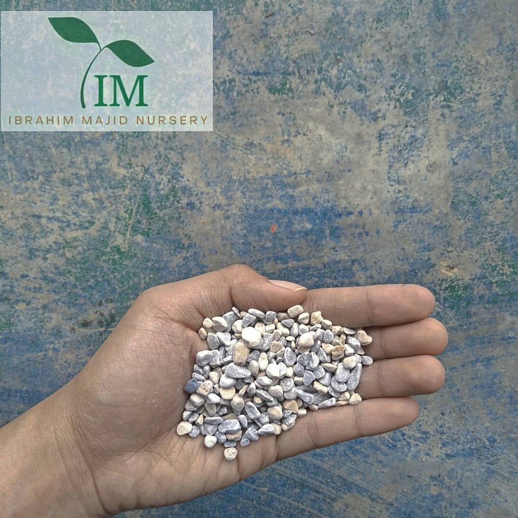 (1Kg) Decoration Pebble Wash Stone Batu Kacang Garden Stone Landscape ...