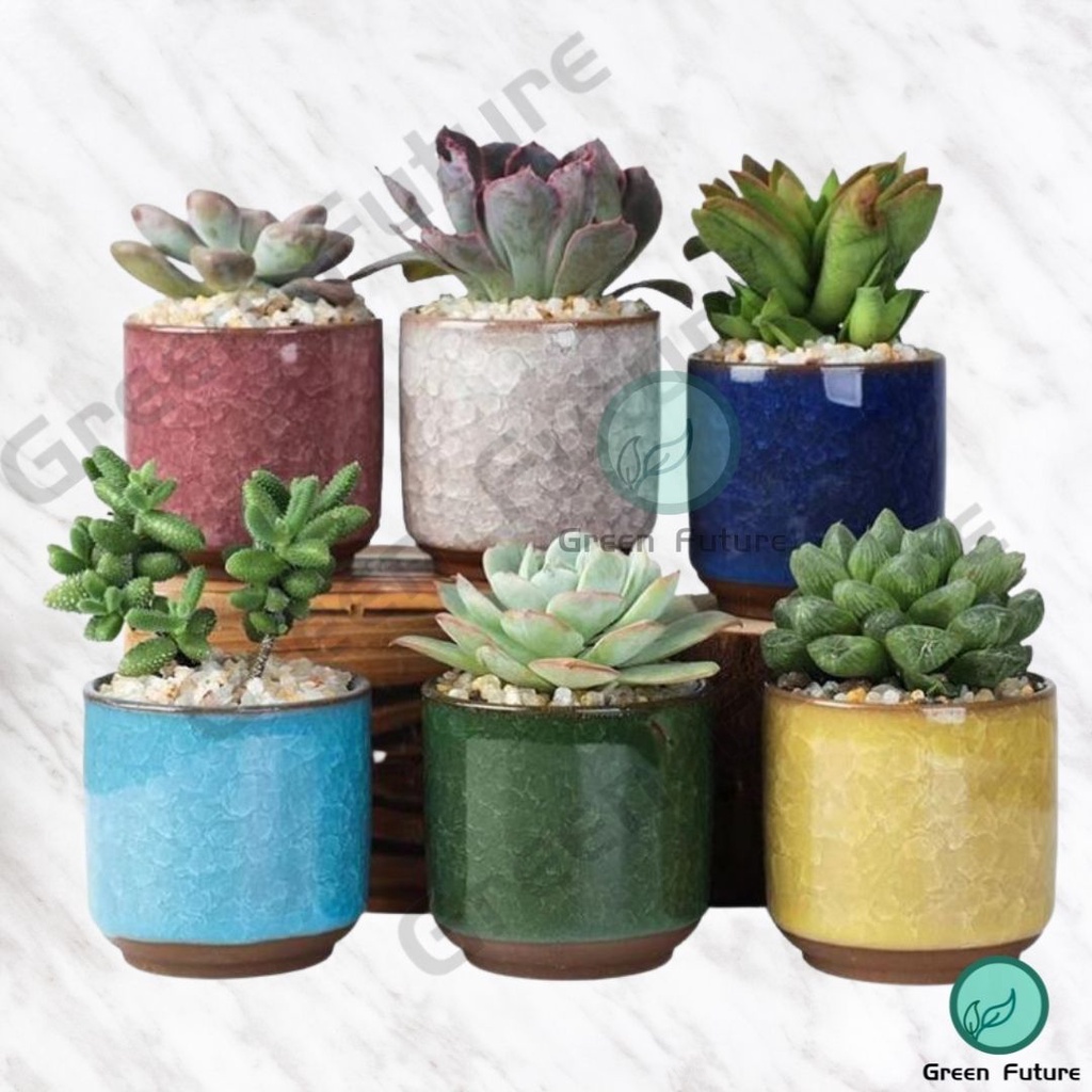 Succulent Pot Cactus Pot Ceramic Pot Zakka Minimalism Planter Pasu ...