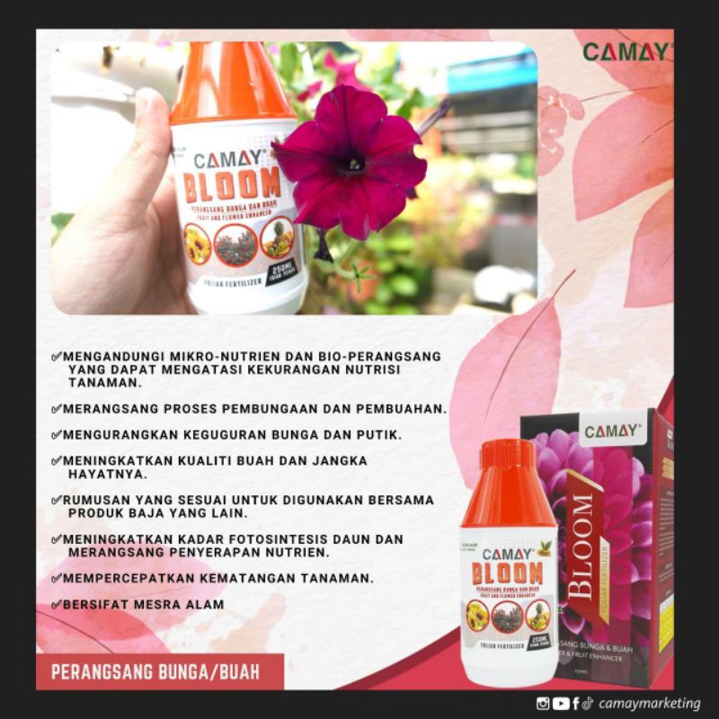 HOT SELLING!! Racun Organik Spray Serangga Tanaman Ulat Buah Sayuran ...