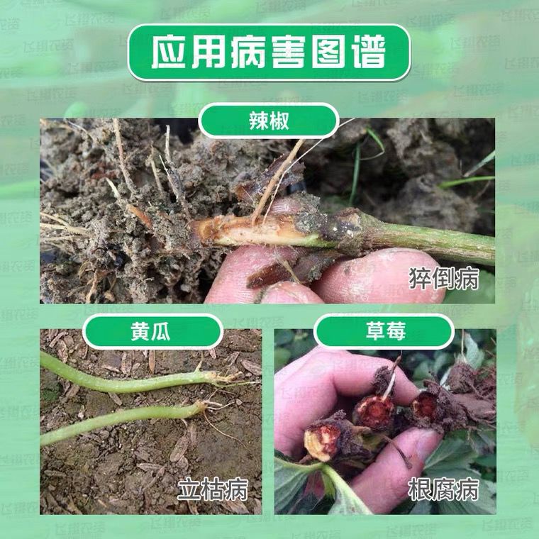 Hymexazol Soil Disinfect Plant Ubat Kuman Media Tanaman Tanah Disinfek ...