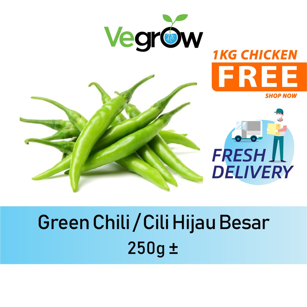🔥FRESH 🔥Green Chili / Cili Hijau Besar 250g +- | Shopee Malaysia