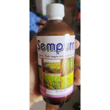Racun Padi Angin Cash Max 500 ml | Shopee Malaysia