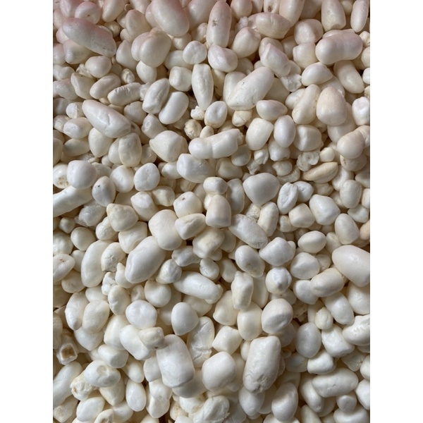 500gr pure fragrant white sticky rice flakes for hamter (no sugar ...
