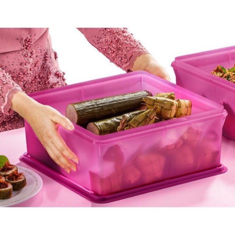 Tupperware Mega Keeper 10.5L (1pc) | Shopee Malaysia