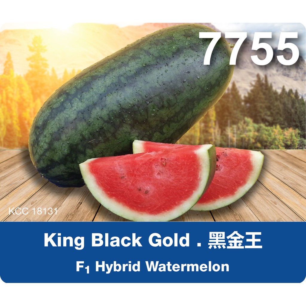7755 KING BLACK GOLD Biji Benih Tembikai Merah Leckat Black Skin F1 ...