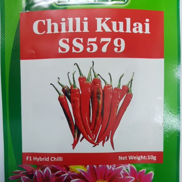20 biji benih cili kulai SS599 F1 Hybrid Chilli Spring SS 599 new seeds ...