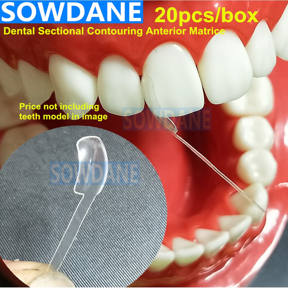 Dental Sectional Contoured Matrice Dental Transparent Proximal Anterior ...