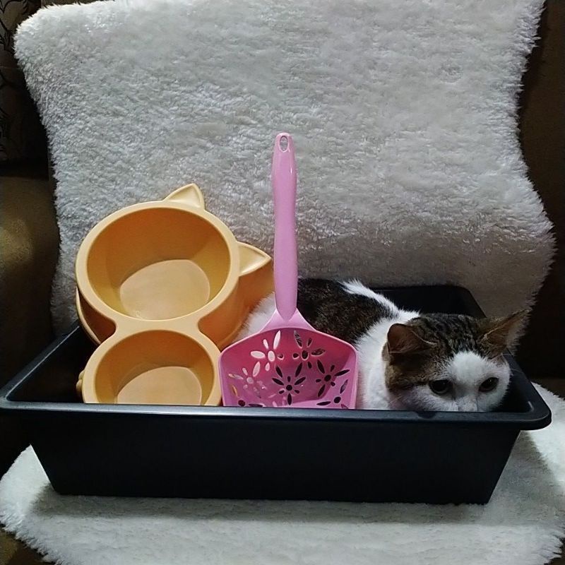 BEKAS PASIR KUCING,BEKAS MAKANAN MINUMAN DAN PENYODOK NAJIS | Shopee ...