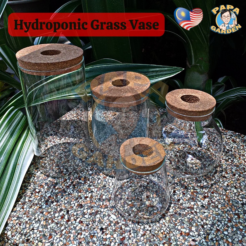 Pasu Kaca Bunga Hiasan Ruang Tamu Hydroponic Glass Vase Transparent Pot ...