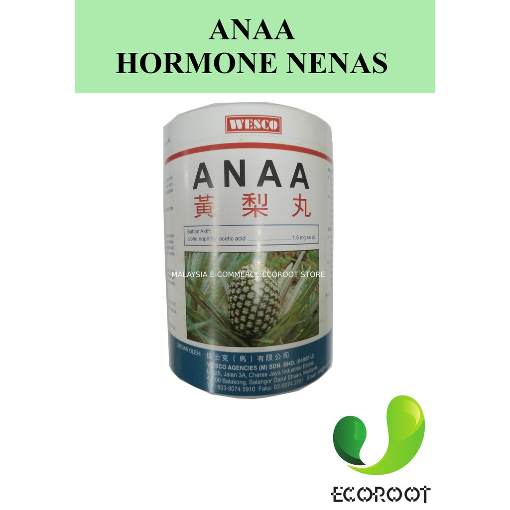 PINEAPPLE HORMONE NENAS ANAA FRUITING PILL TABLET 5000 PILL | Shopee ...