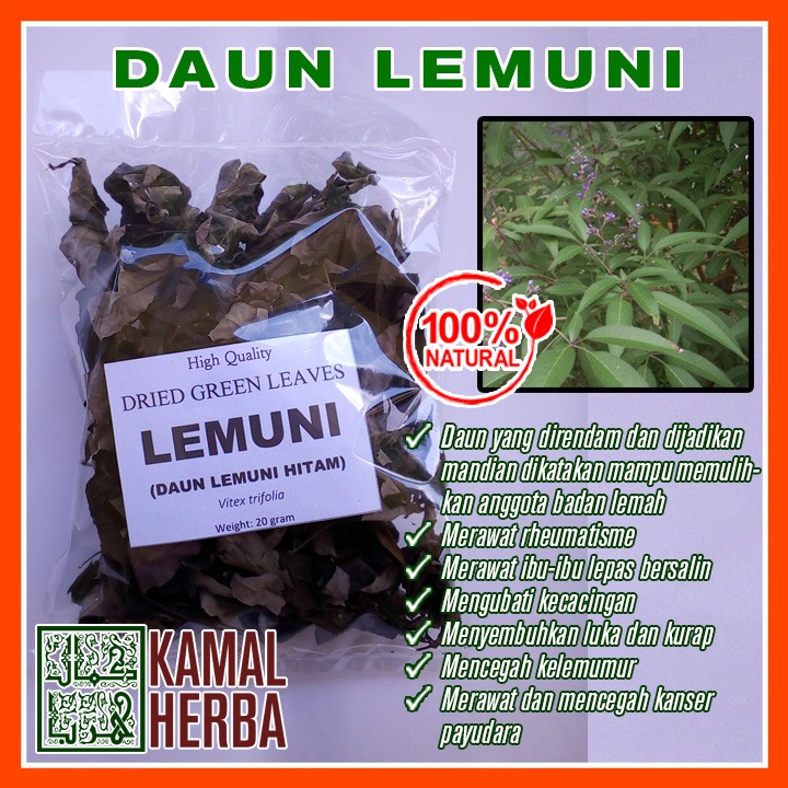 Daun Lemuni Kering (Daun Lemuni Hitam) Untuk Buat Nasi Lemuni | Shopee ...