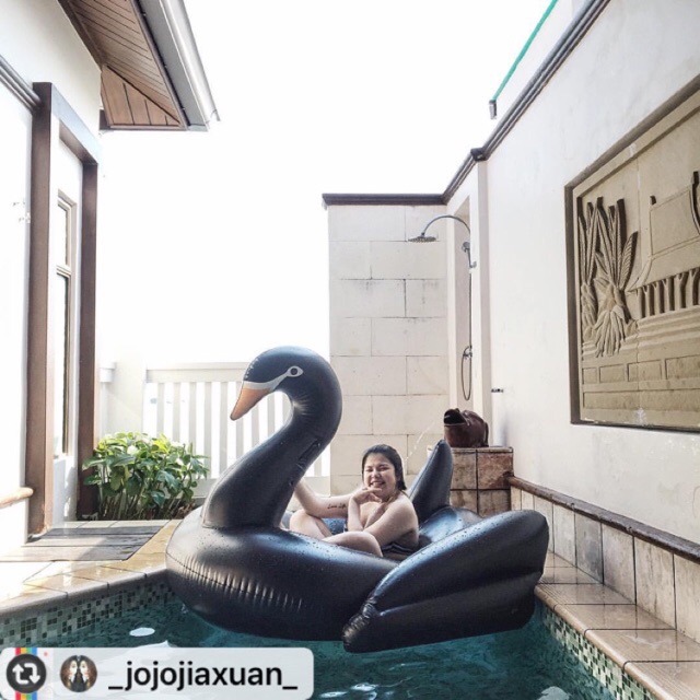 [Inflatable Pool Float] Black Swan Float | Shopee Malaysia