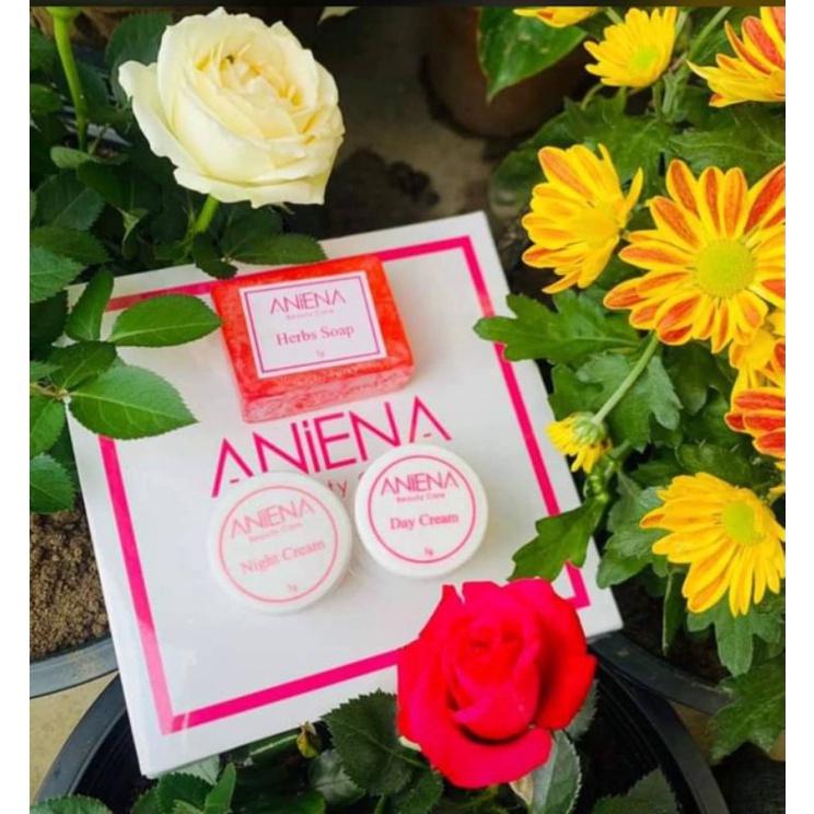 ANIENA SKINCARE 1 SET 💯 ORIGINAL HQ 🔥 | Shopee Malaysia